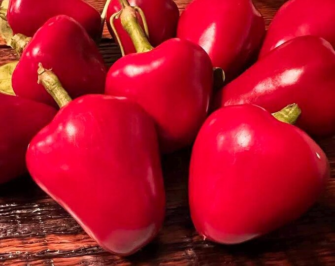 Calabrian Caviar Pepper Seeds - Etsy