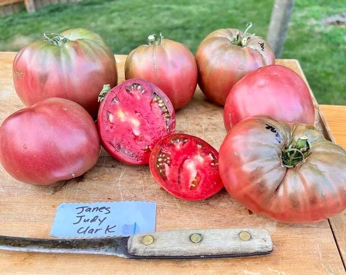 Jane's Judy Clark Family Tomato Seeds - Etsy