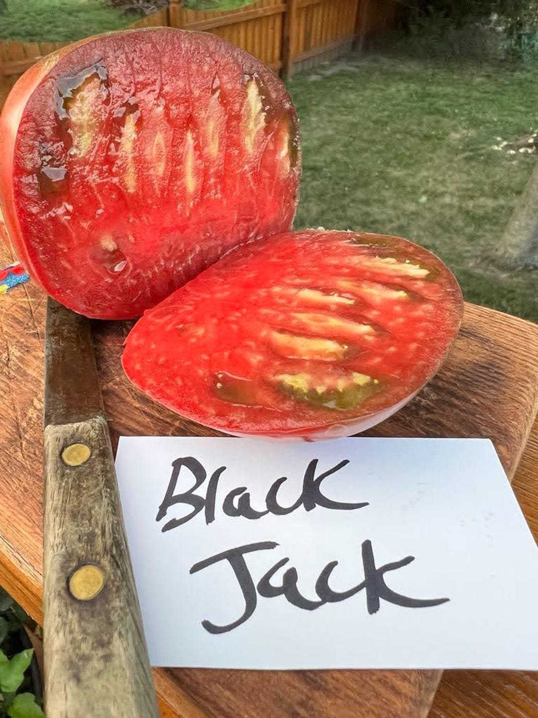 Blackjack Tomato Seeds - Etsy