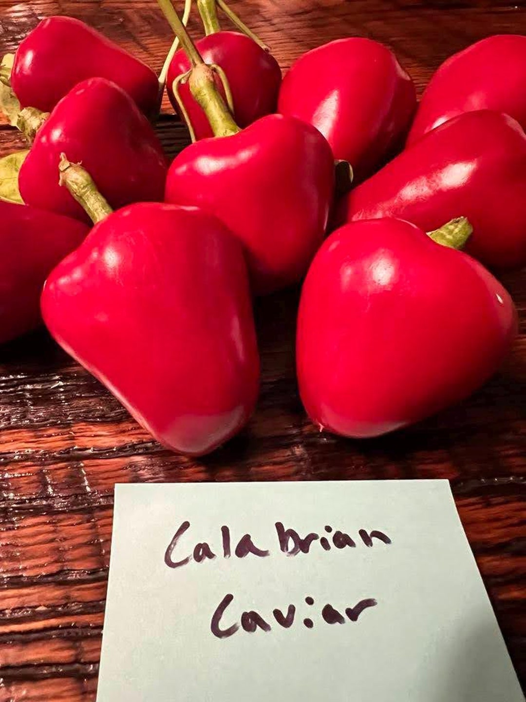 Calabrian Caviar Pepper Seeds - Etsy