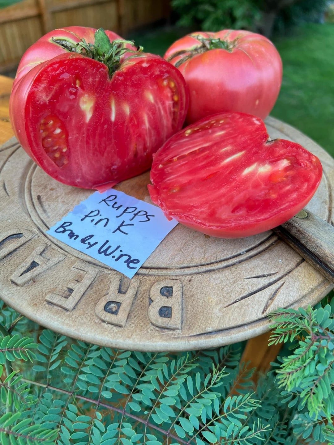 Rupp's Pink Brandywine Tomato Seeds - Etsy