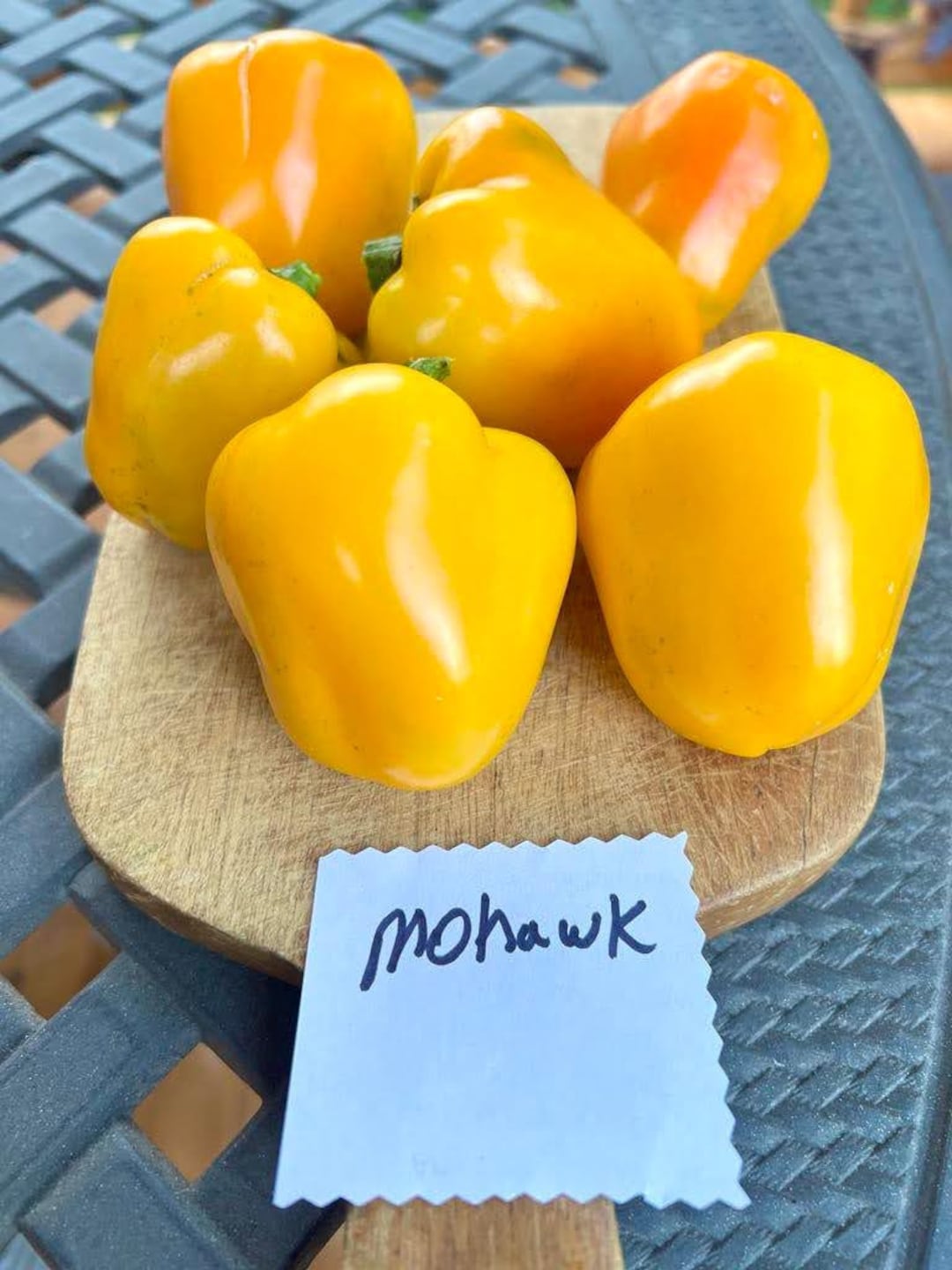 Mohawk Pepper Seeds - Etsy