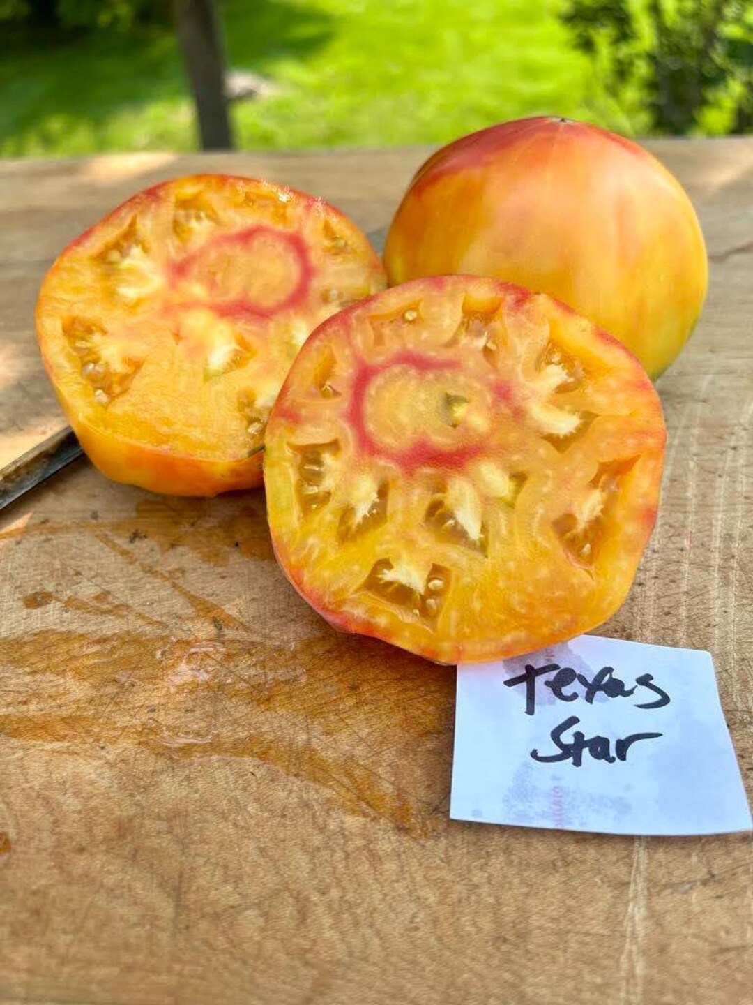 Texas Star Tomato Seeds - Etsy