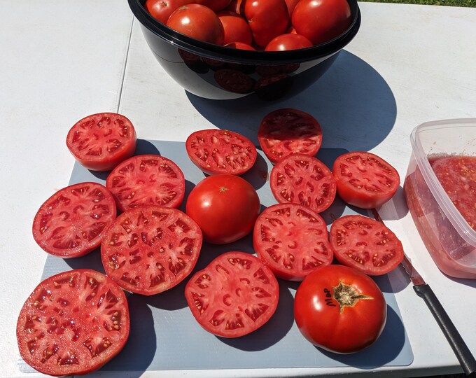 Merced Tomato Seeds - Etsy