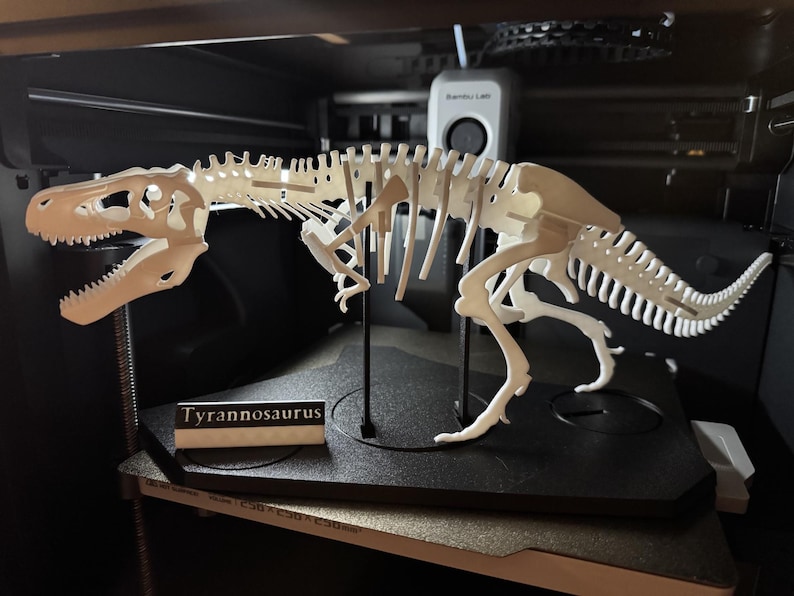 Dinosaur Skeleton Puzzle Pterodactylus Stegosaurus Velociraptor ...