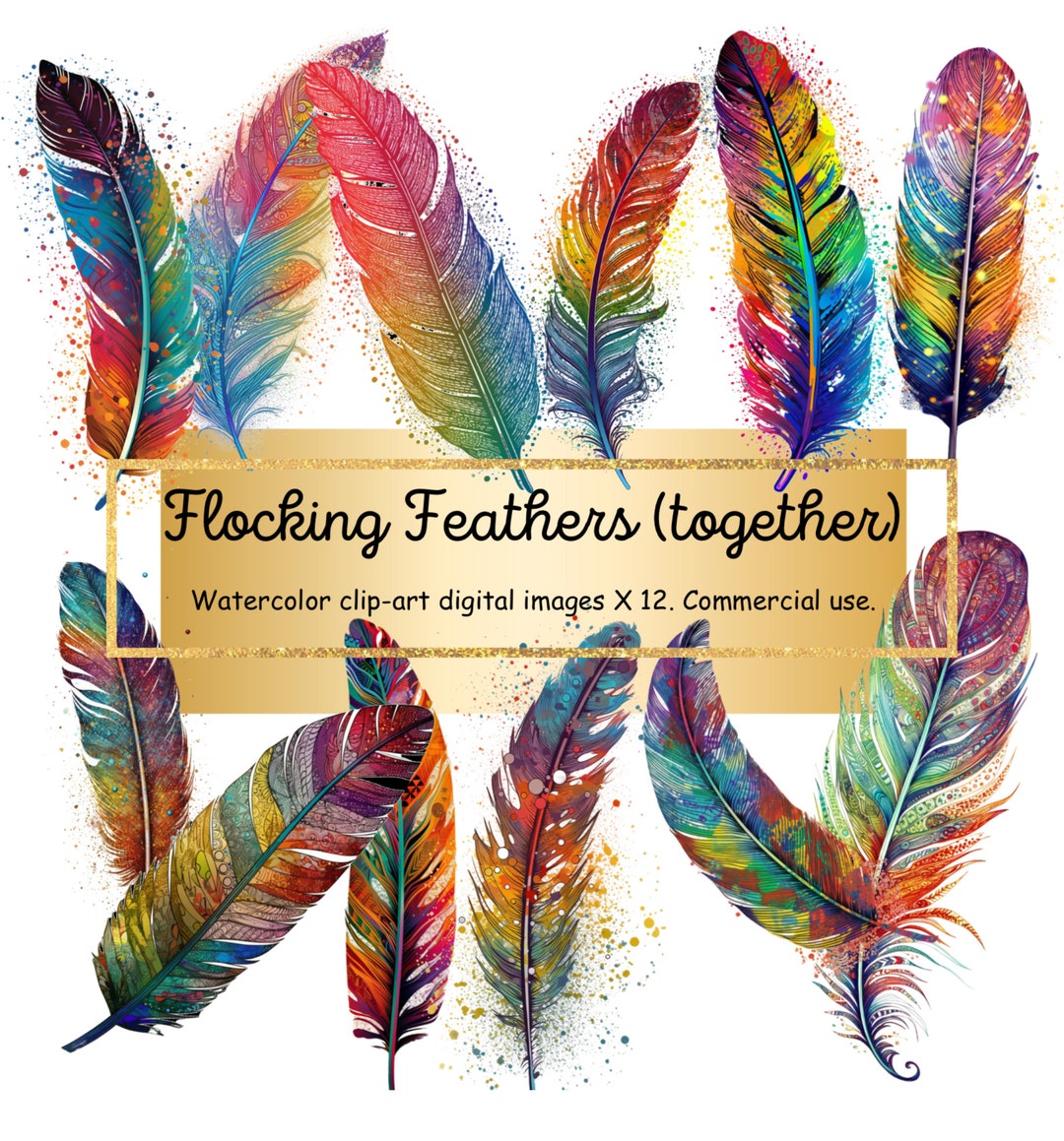 Flocking Feathers (together) Clip Art Individual Digital Downloads X 12 ...