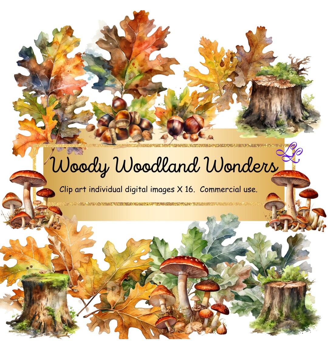 Woody Woodland Wonders Clip Art Digital Images. Individual Files Clear ...
