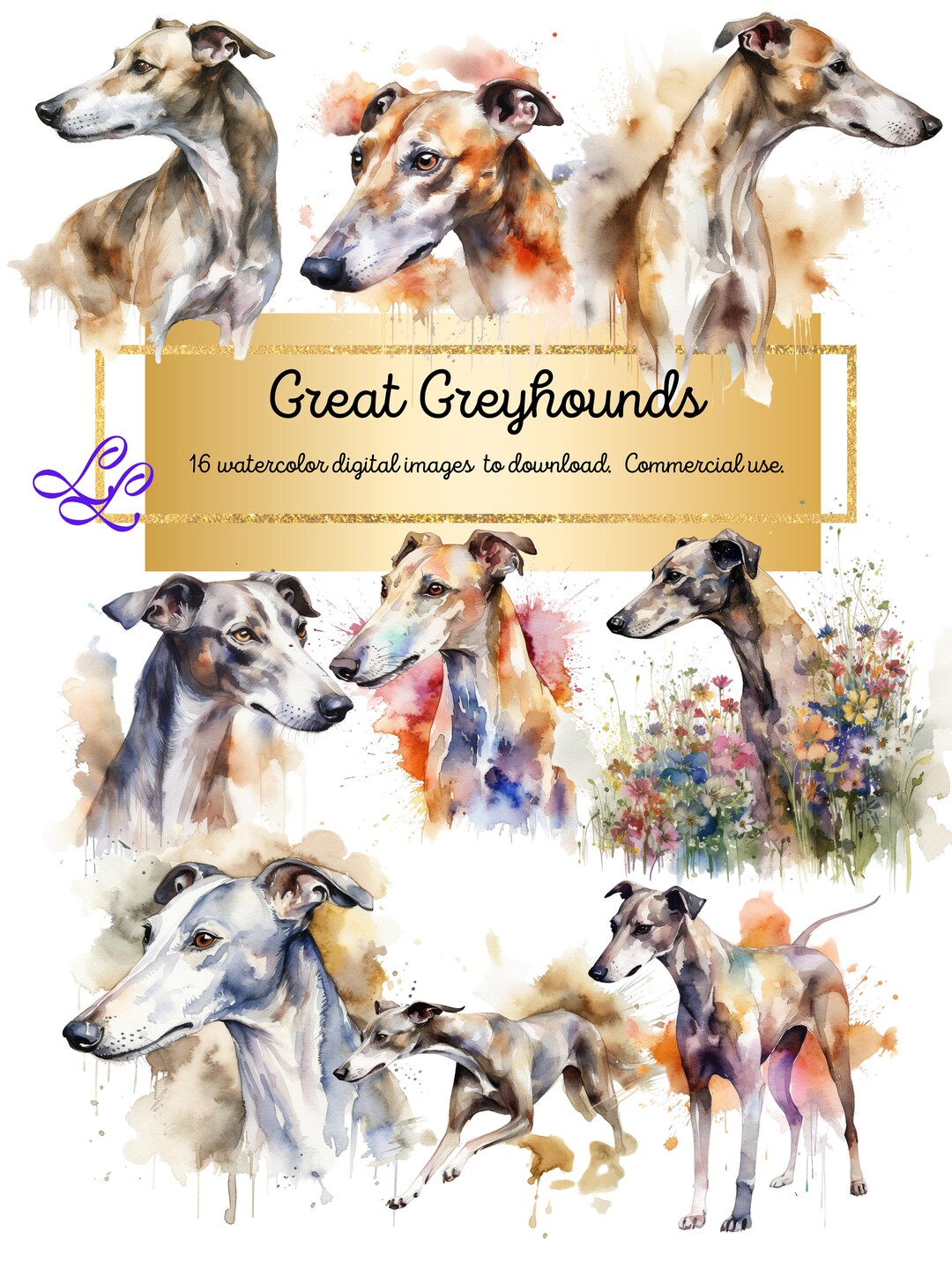 Great Greyhounds 16 X Watercolour Digital Images to Download. - Etsy