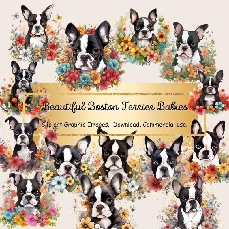 Watercolor Boston Terrier Clip Art X 14 PNG Digital Downloadable ...