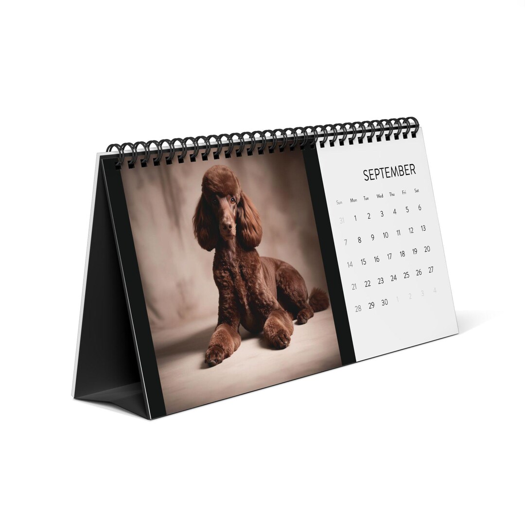 Desktop Calendar - Beautiful Poodle Monthly 2025, Gift for Poodle ...