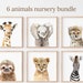 Nursery Prints 6 Safari Animals Bundle Watercolor Nursery - Etsy