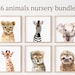 Nursery Prints 6 Safari Animals Bundle Watercolor Nursery - Etsy