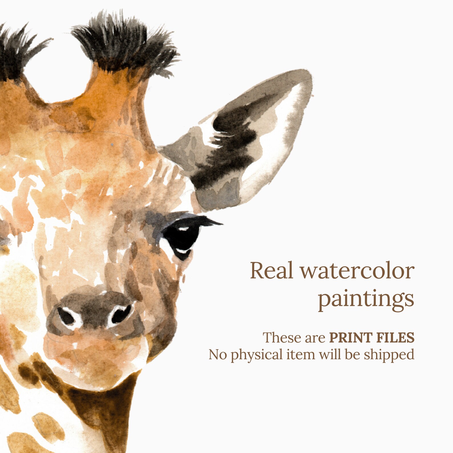 Nursery Prints 6 Safari Animals Bundle Watercolor Nursery - Etsy