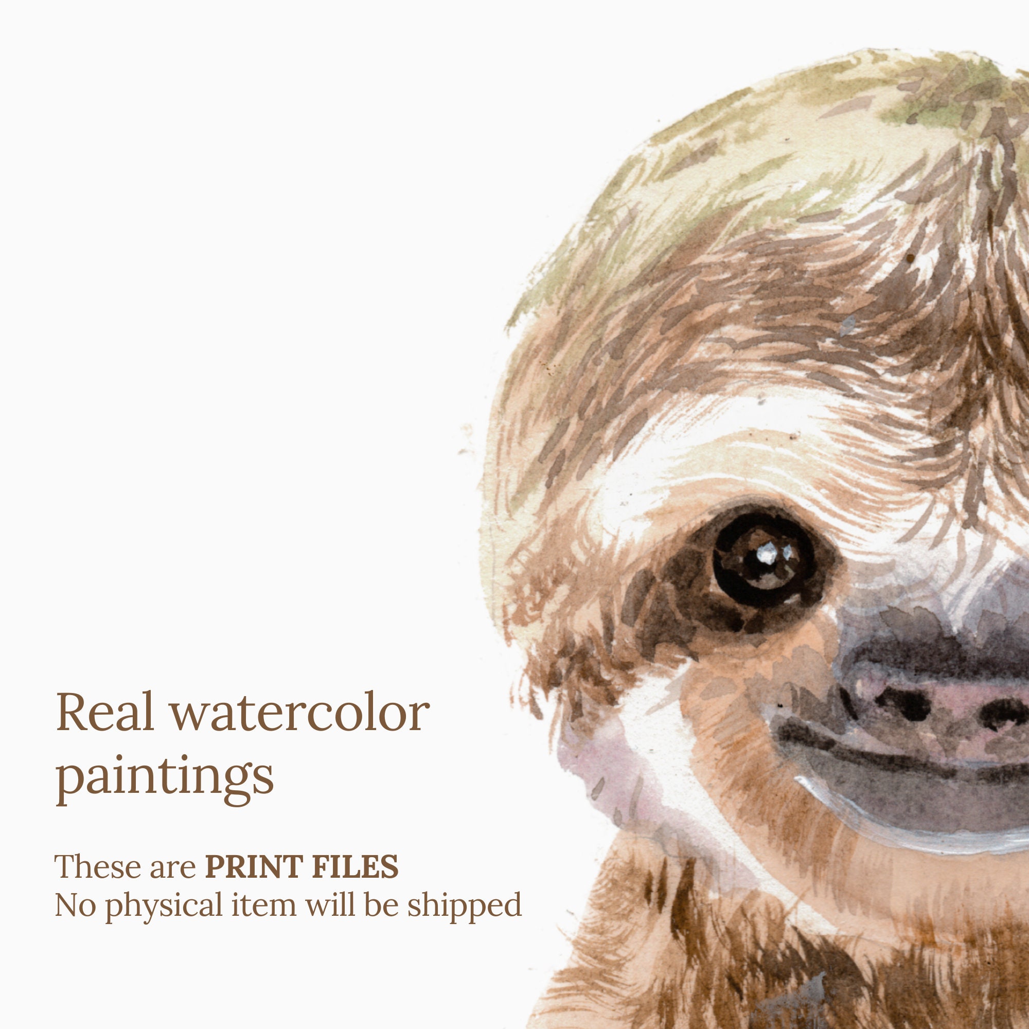 Nursery Prints 6 Safari Animals Bundle Watercolor Nursery - Etsy