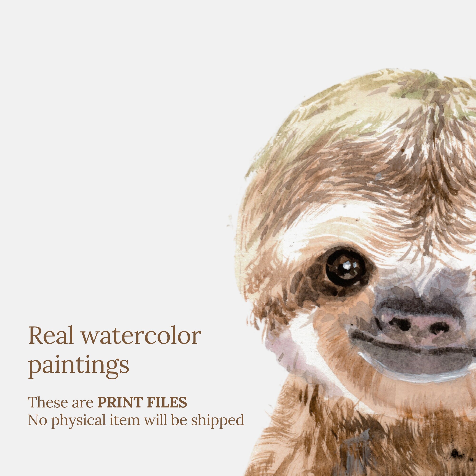 Baby Sloth Watercolor Painting Nursery Wall Art Decor Safari - Etsy