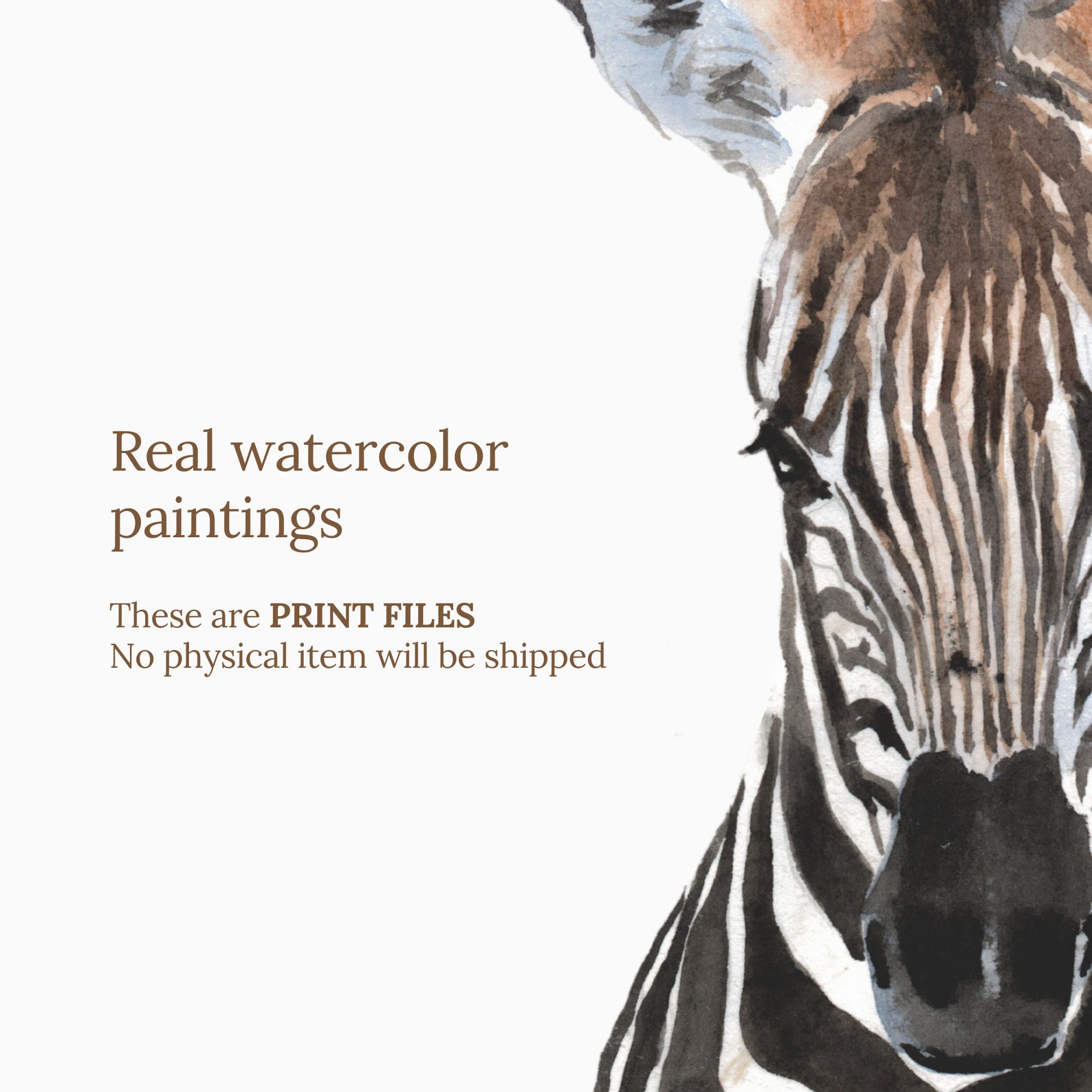 Nursery Prints 6 Safari Animals Bundle Watercolor Nursery - Etsy