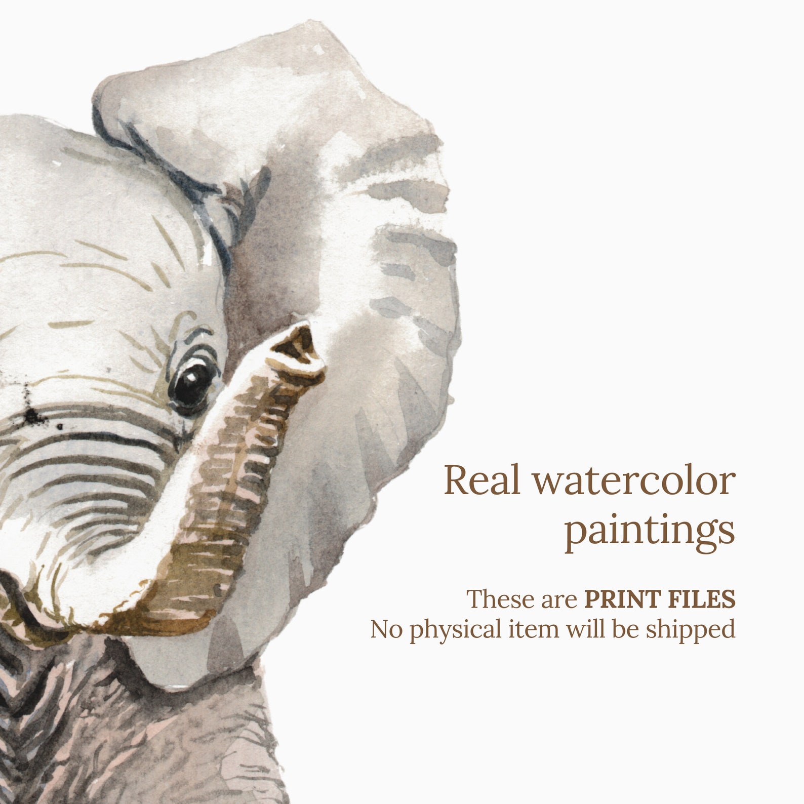 Nursery Prints 6 Safari Animals Bundle Watercolor Nursery - Etsy