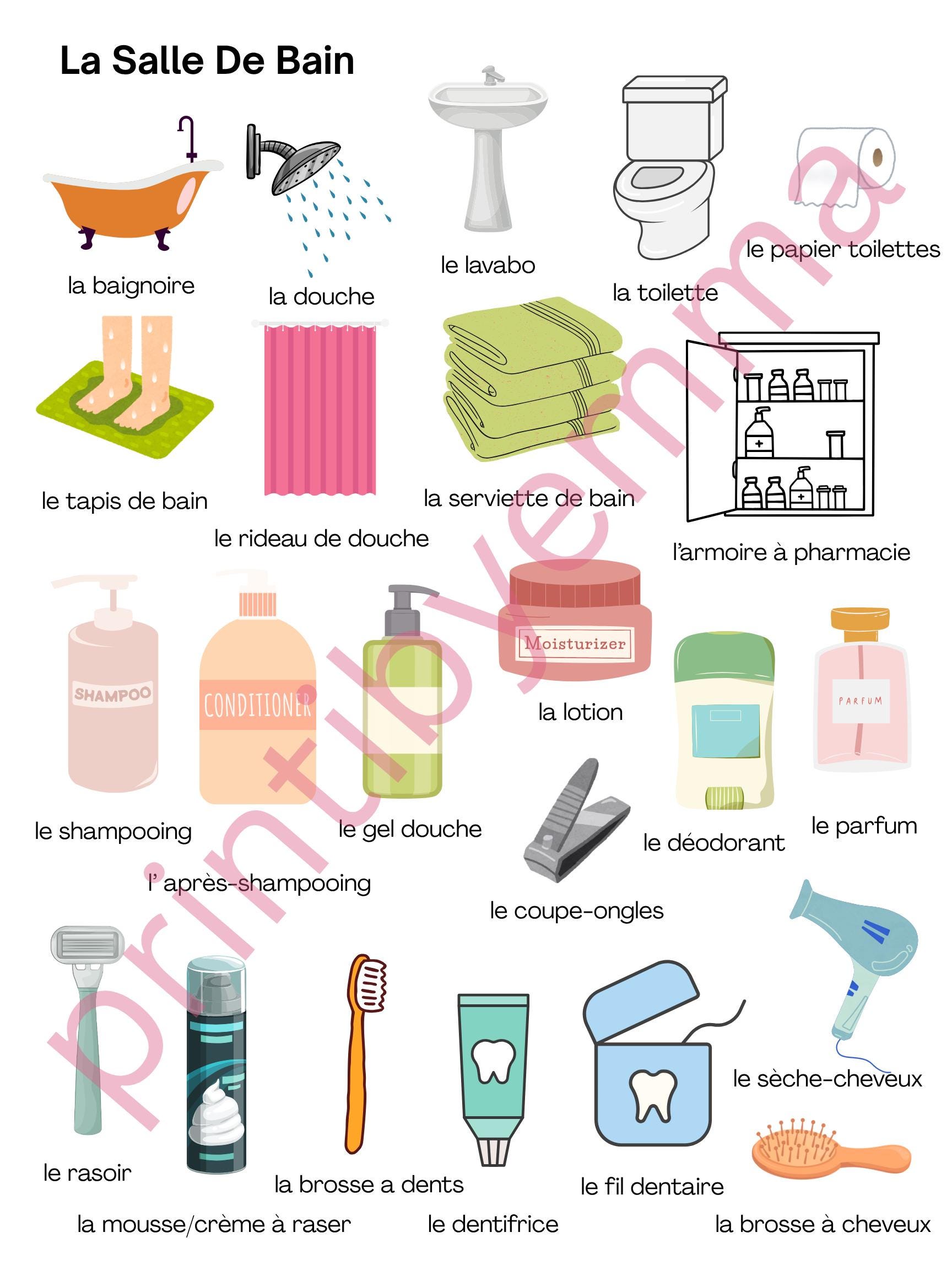 French Vocabulary PDF | Bathroom Items | Salle De Bain | Digital ...