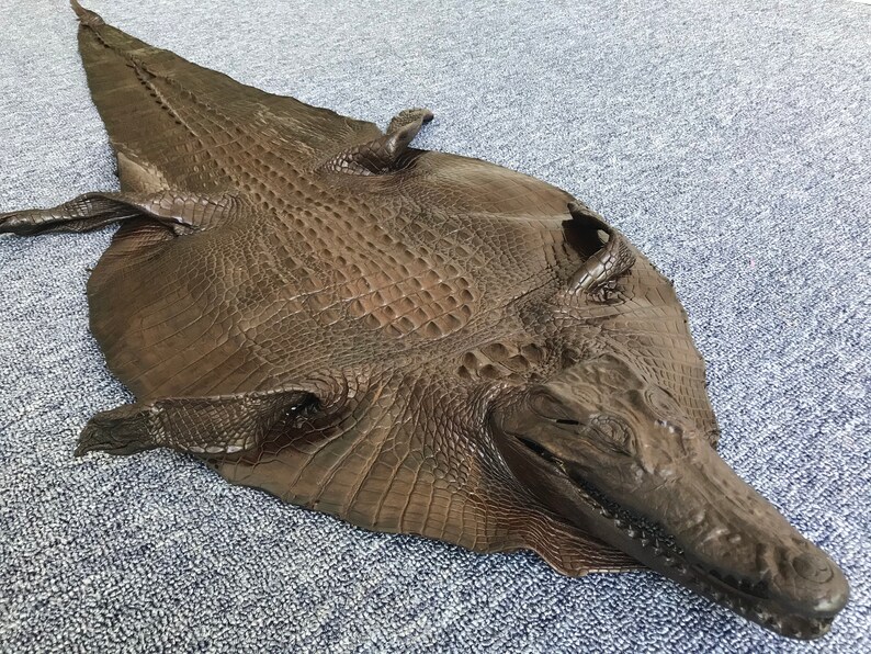 Alligator Crocodile Brown Handmade Hide Pelt Soft Leathercraft | Etsy