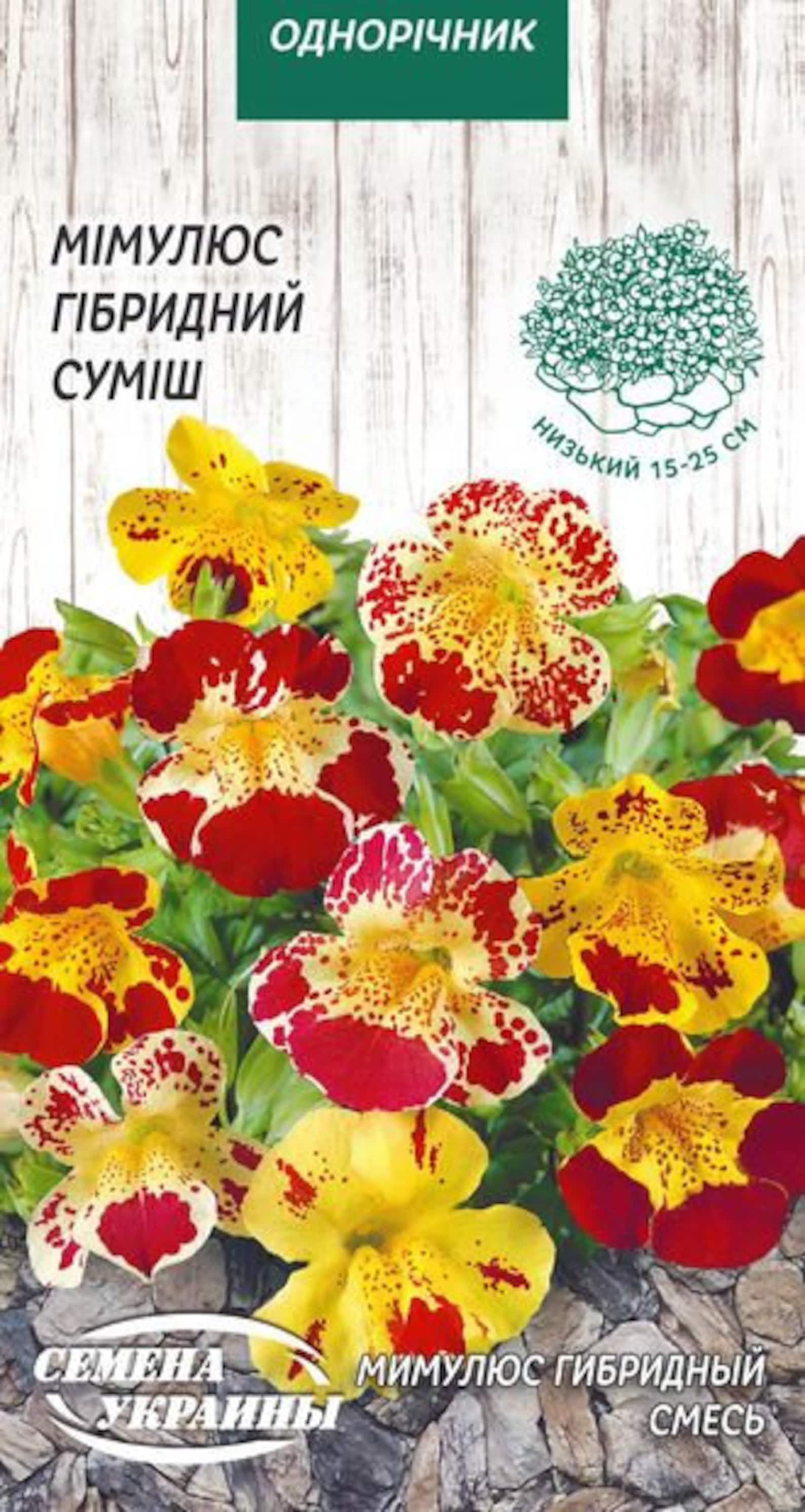 Mimulus seeds Mimulus Hybrid mix 01 g Ukrainian organic | Etsy