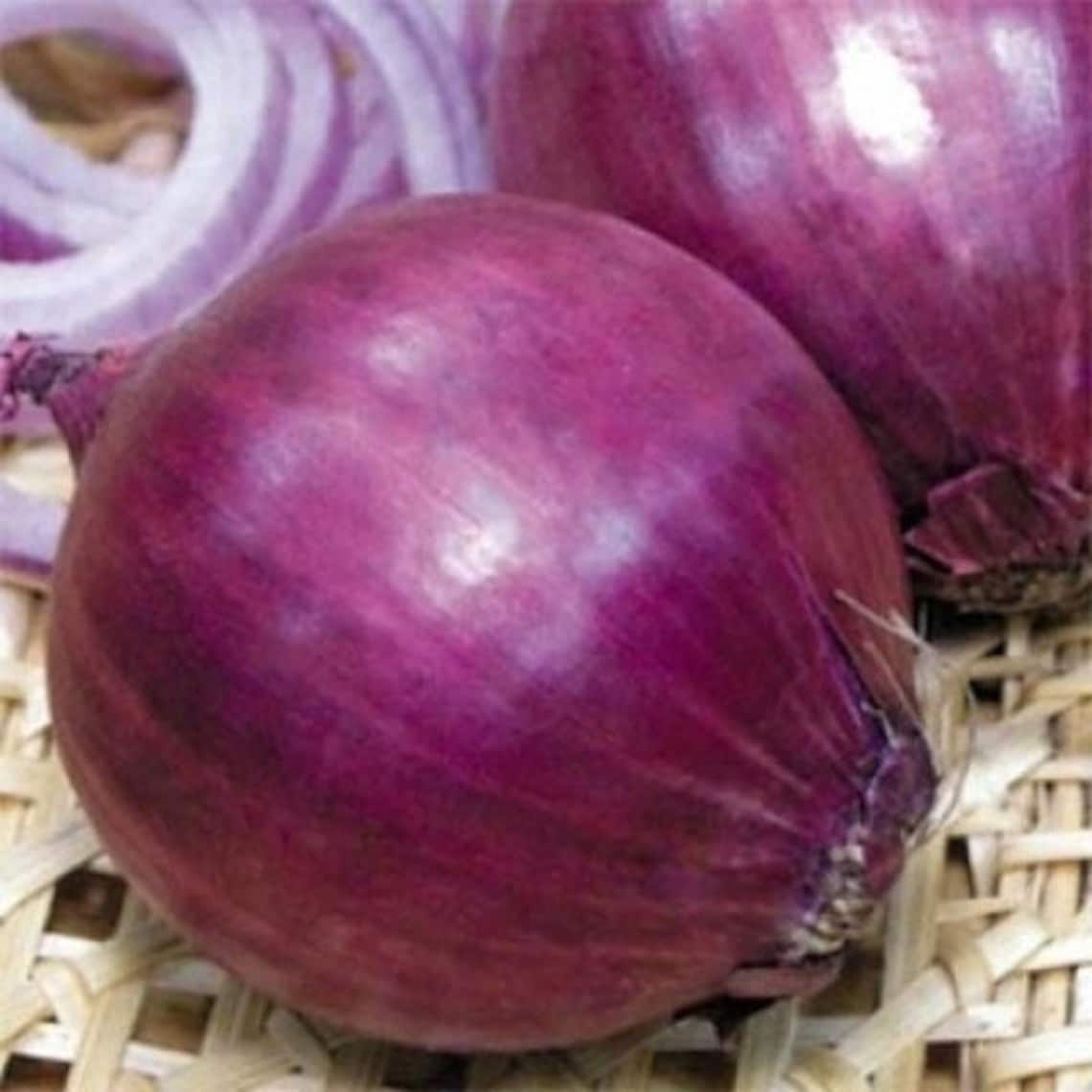 200 Onion Red SeedsRed onion Rainboworganic onion ruby red | Etsy