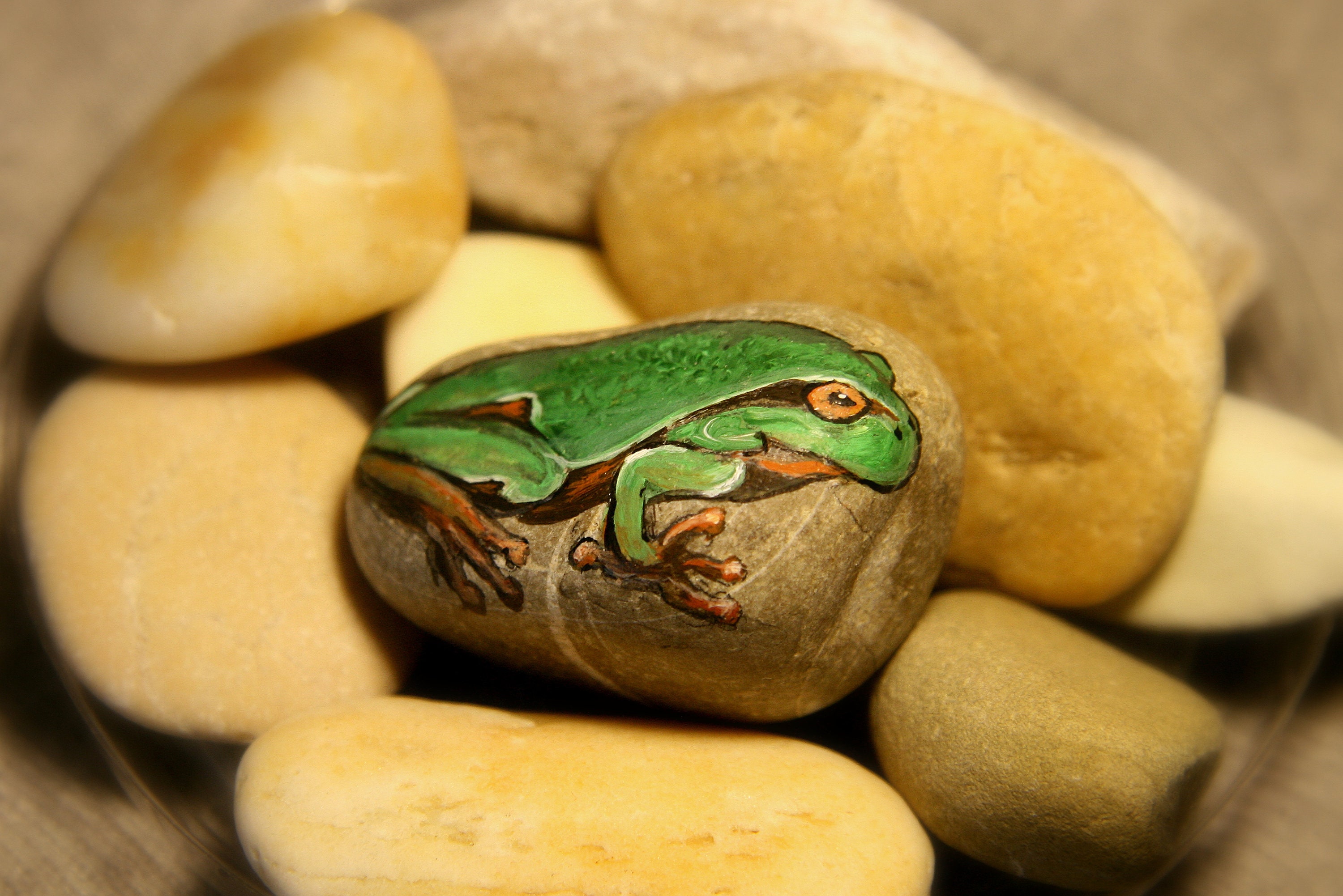 Hand Painted Green Frog Hand Painted Pebble Rock Stone Wild Animal Gift ...