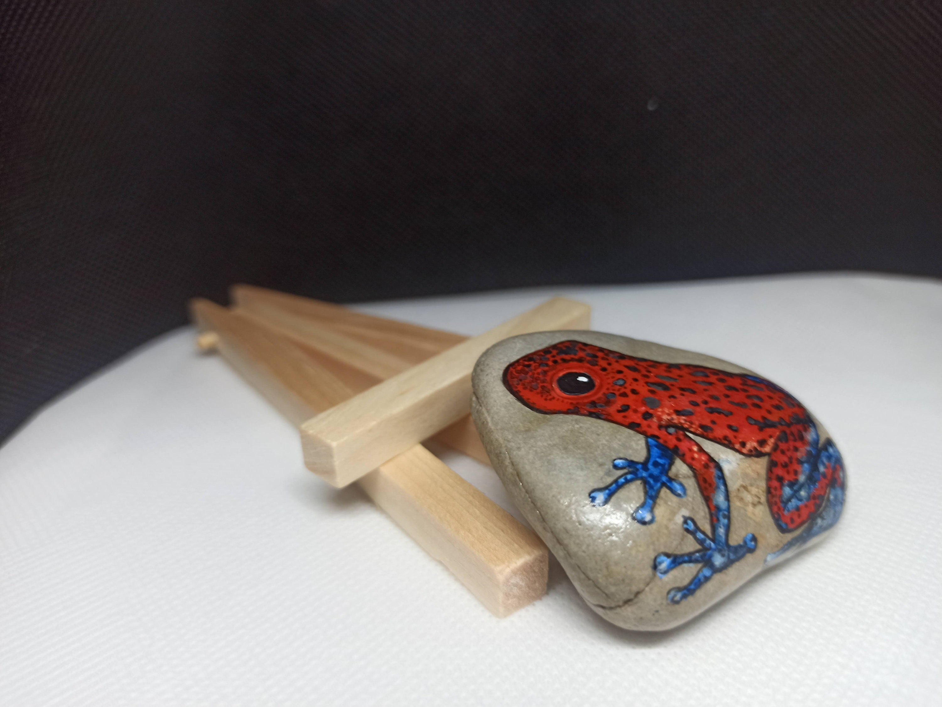 Poison Dart Frog Hand Painted Pebble Rock Stone Wild Animal Gift ...