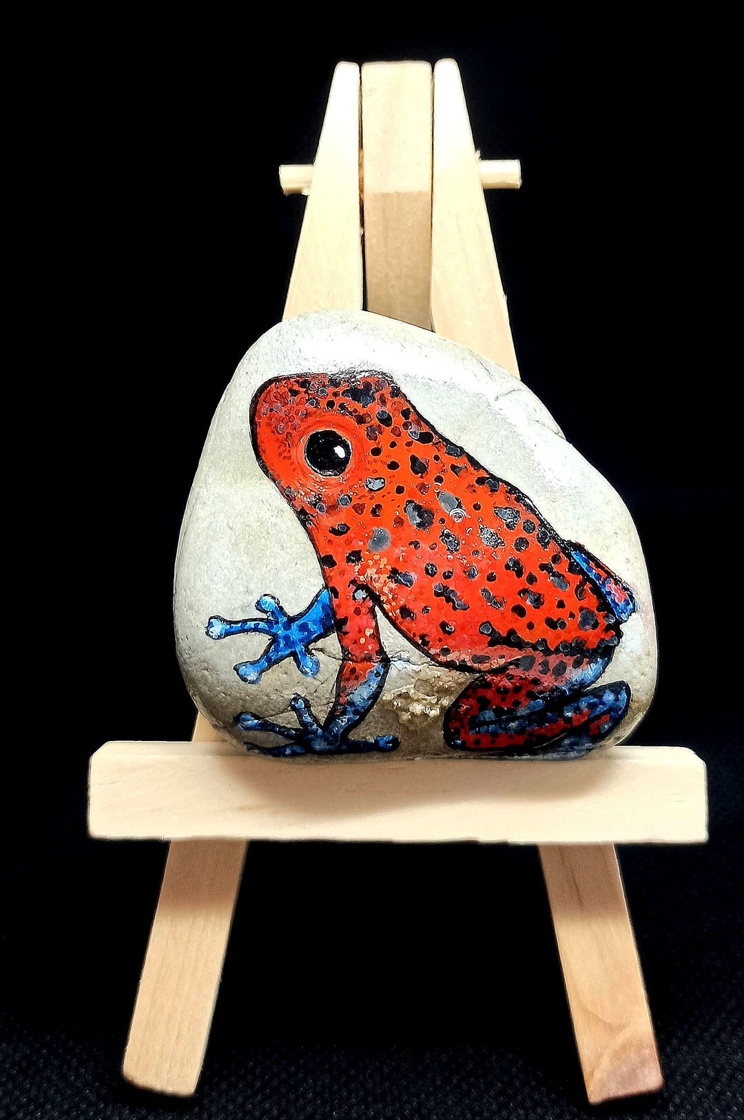 Poison Dart Frog Hand Painted Pebble Rock Stone Wild Animal Gift ...