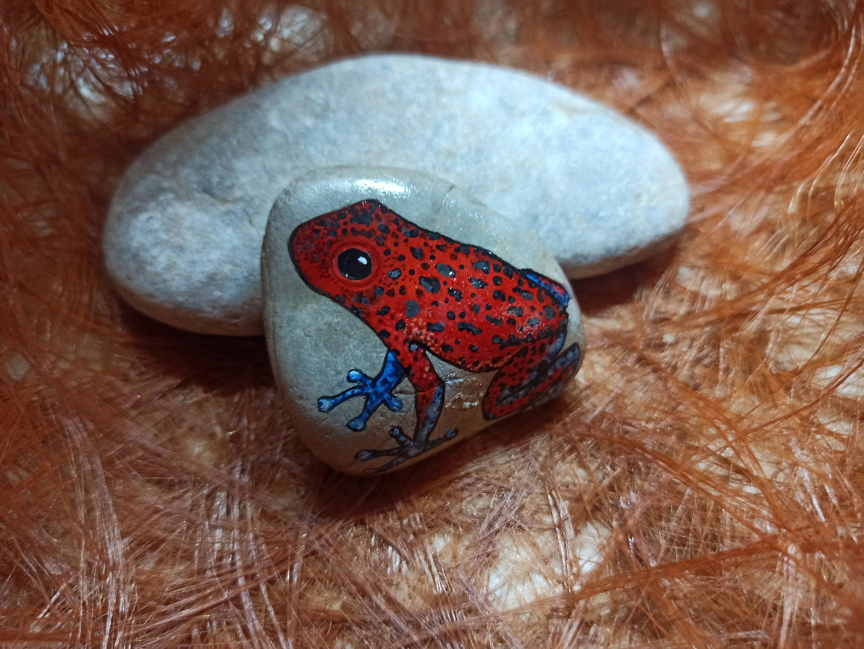 Poison Dart Frog Hand Painted Pebble Rock Stone Wild Animal Gift ...