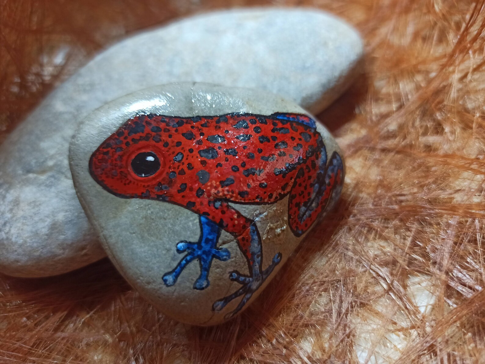 Poison Dart Frog Hand Painted Pebble Rock Stone Wild Animal Gift ...