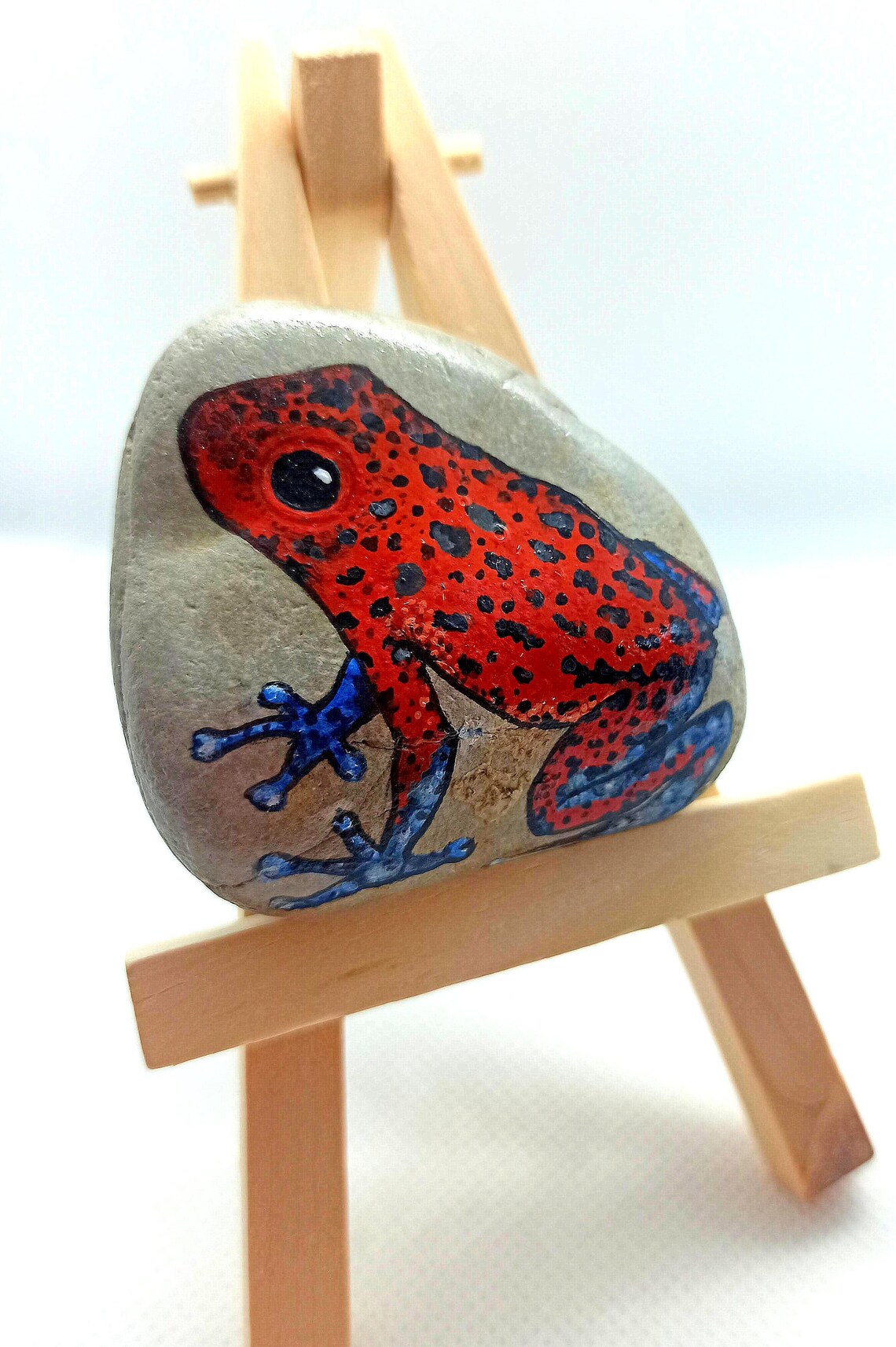 Poison Dart Frog Hand Painted Pebble Rock Stone Wild Animal Gift ...