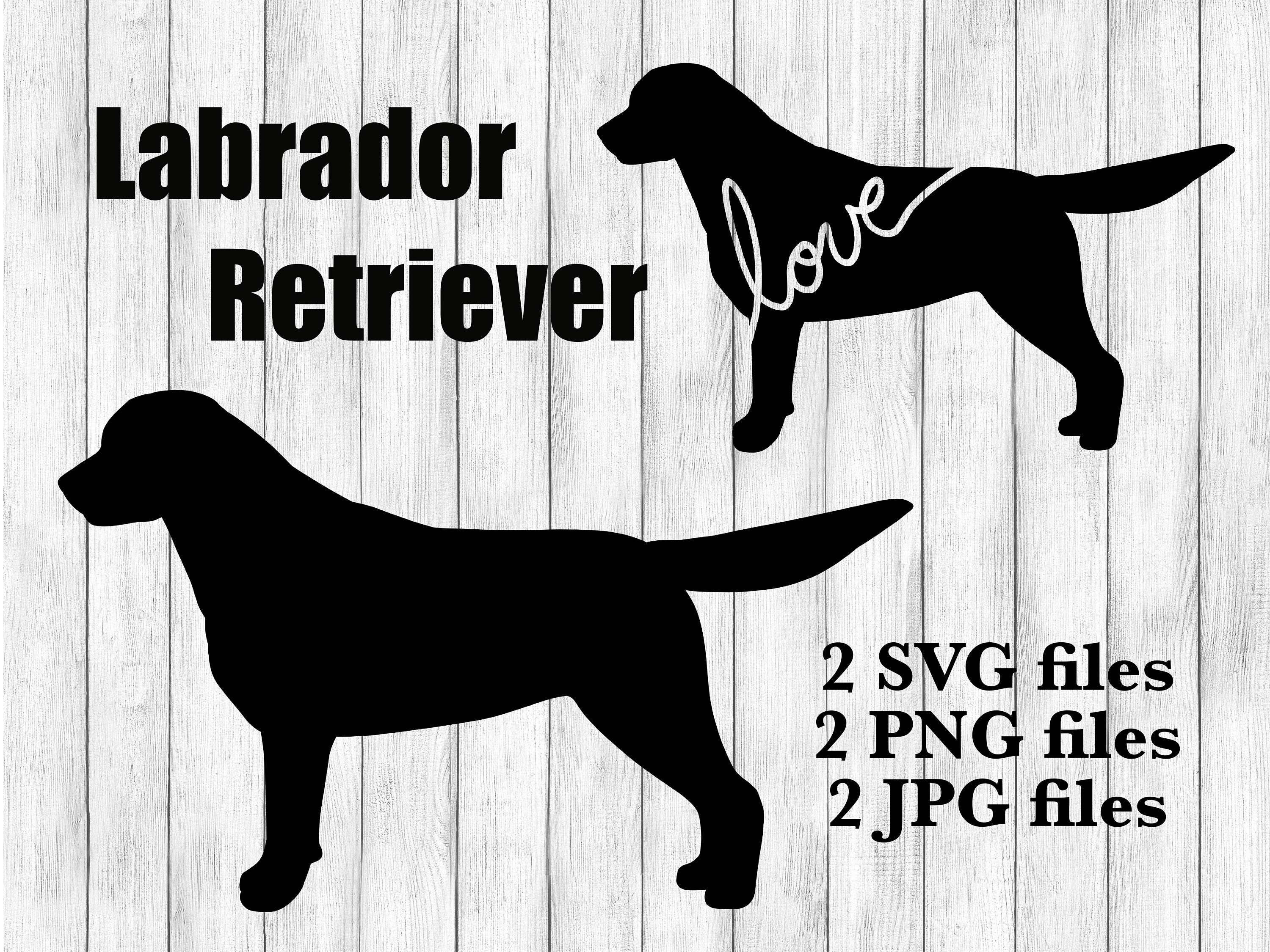Labrador Retriever Outline