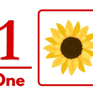 Number Flashcards 1-10 for Pre-school, Kindergarten and Montessori ...