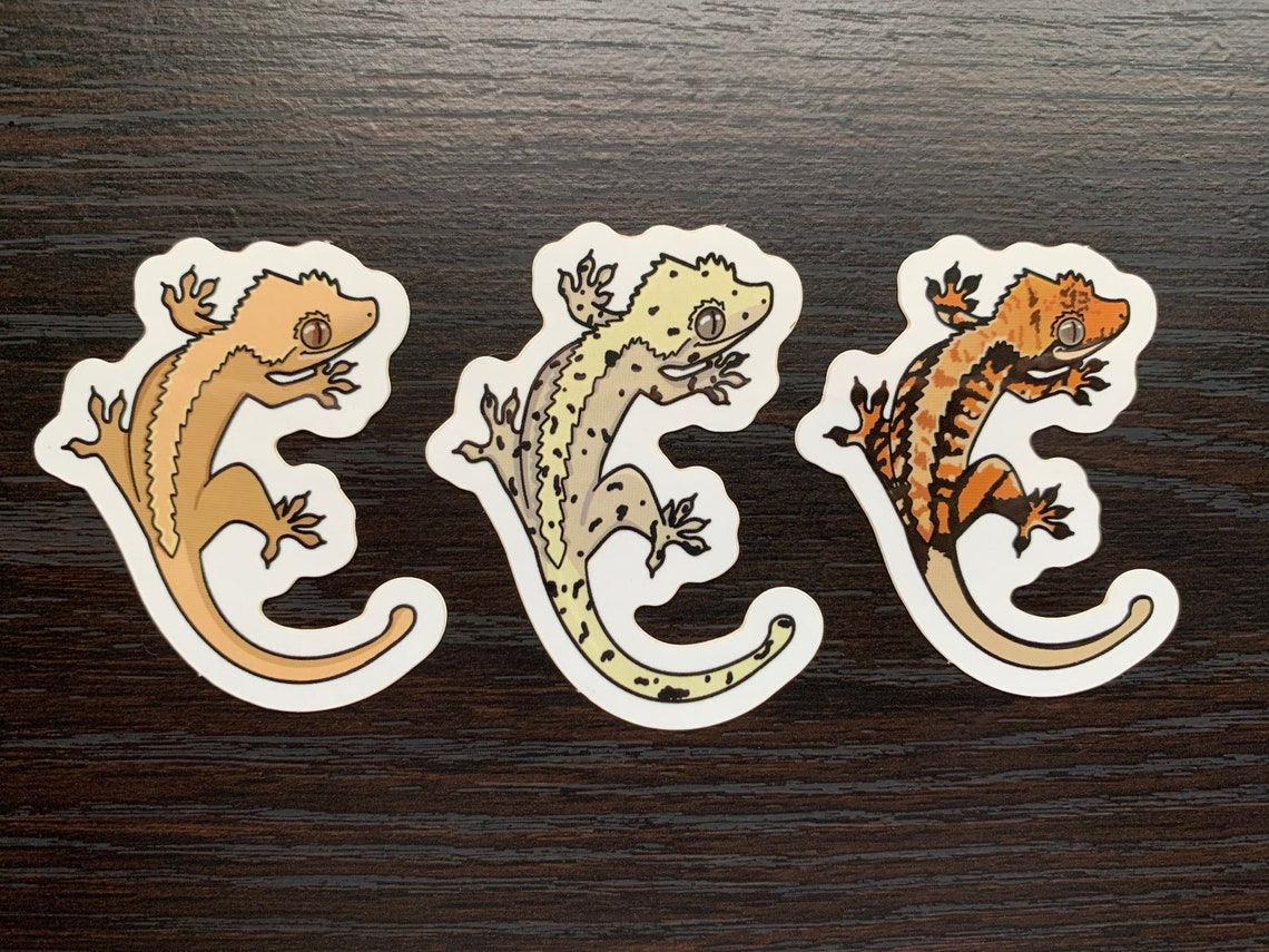 Crested gecko sticker cute stickers reptile art reptile lover | Etsy