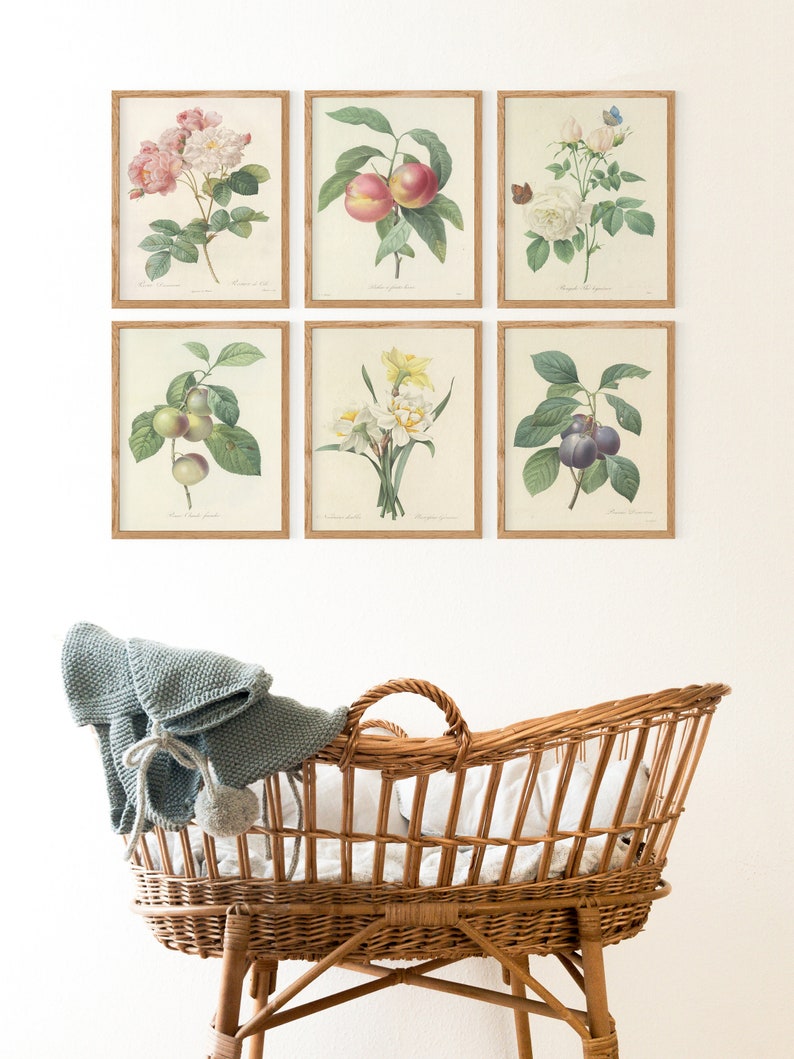 Set of 6 Prints Botanical Print Set Wall Art Set of 6 for - Etsy