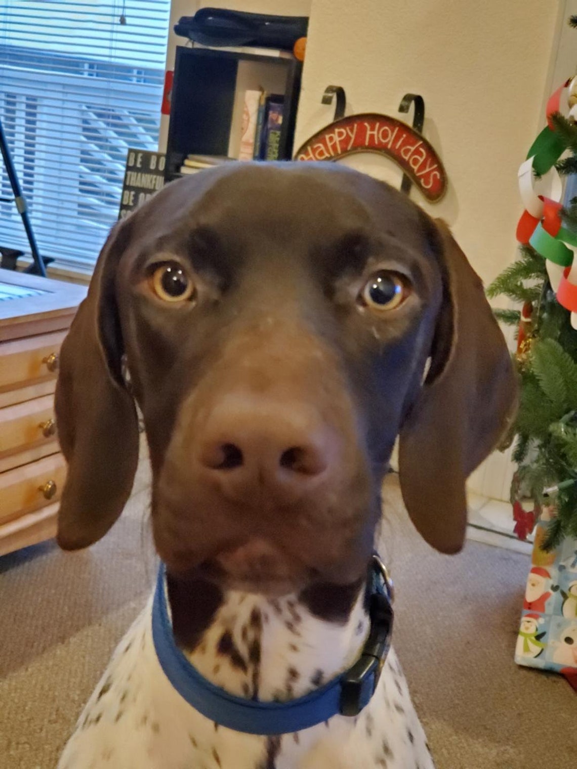 German Shorthaired Pointer Key Chain GSP Mom Key Chain GSP | Etsy