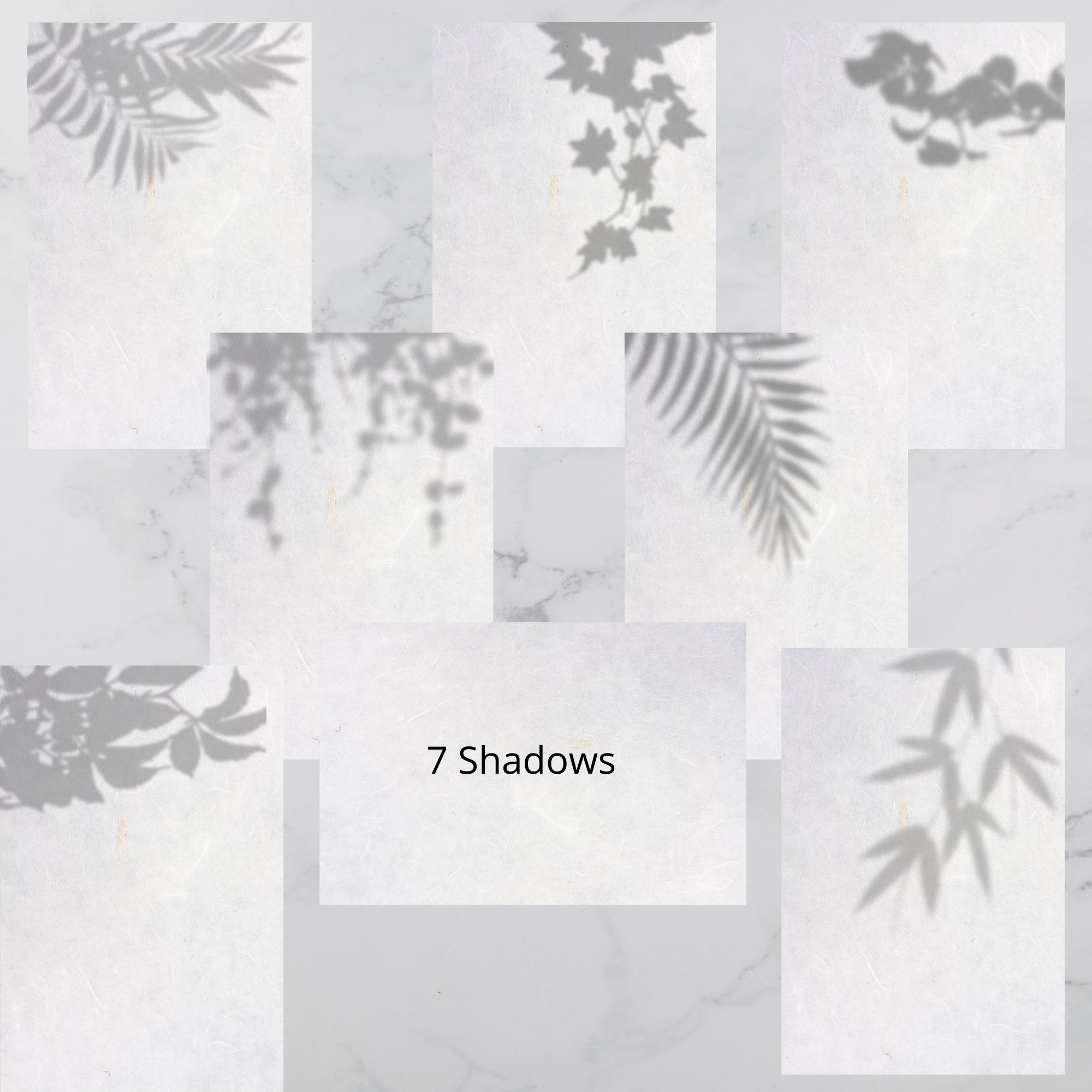Foliage Shadows Background, Plant Overlays Backdrop, Greenery Floral ...