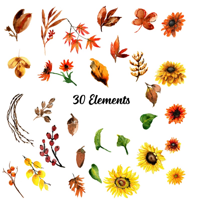 Watercolor Clipart Sunflower Bouquets Fall Clipart, Autumn Flowers ...