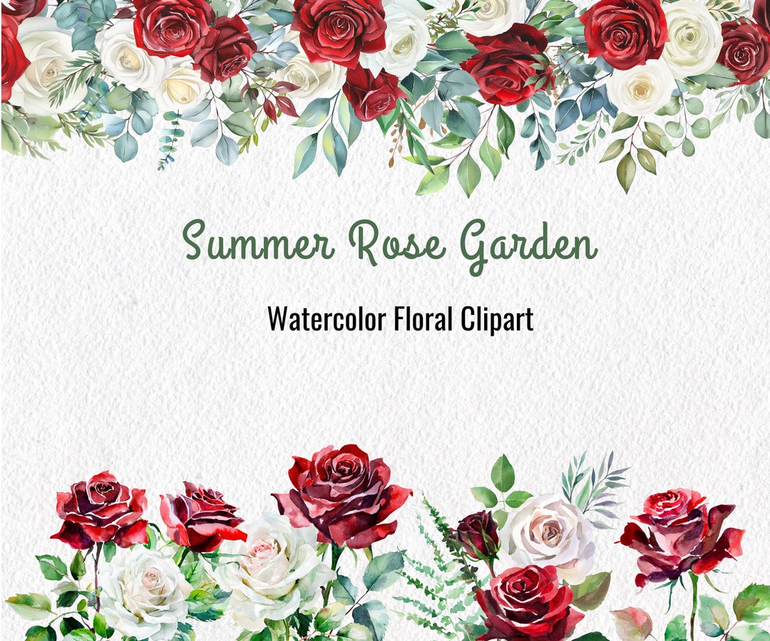 Watercolor Red White Rose Border Clipart, Red White Rose Backdrop ...