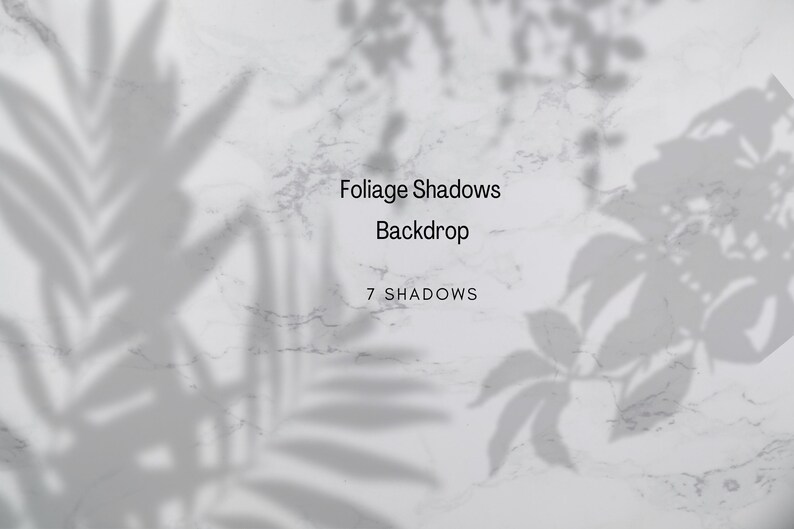 Foliage Shadows Background, Plant Overlays Backdrop, Greenery Floral ...
