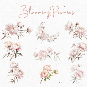 Blooming Peonies Clipart, Watercolor Floral Clipart, Baby Pink Floral ...