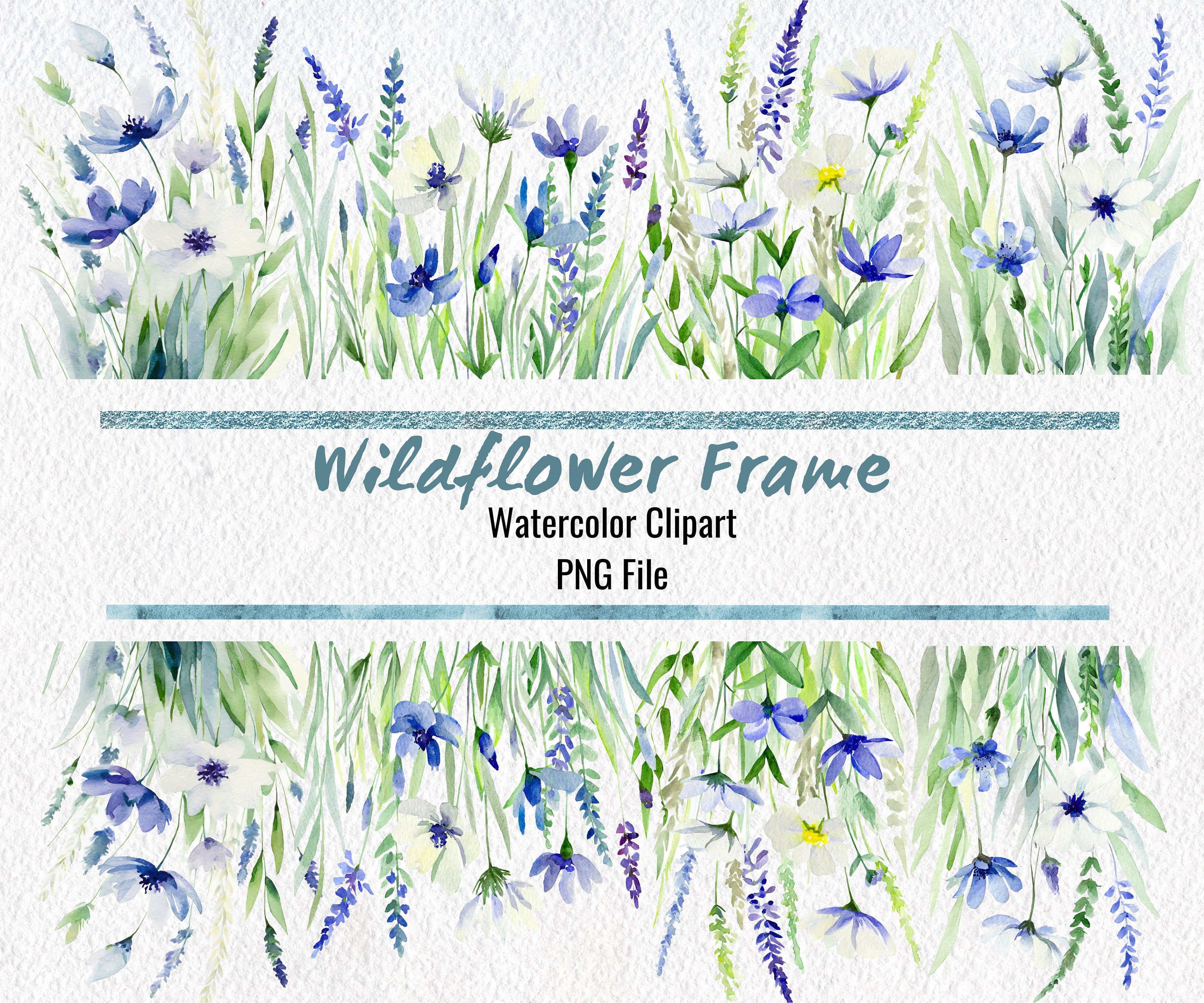 Wildflower Blue White Border Clipart, Watercolor Floral Backdrop, Blue ...