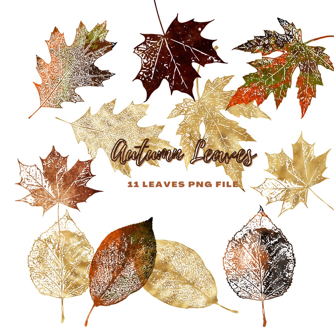 Fall Colorful Leaves Clipart, Autumn Botanical Illustraiton ...