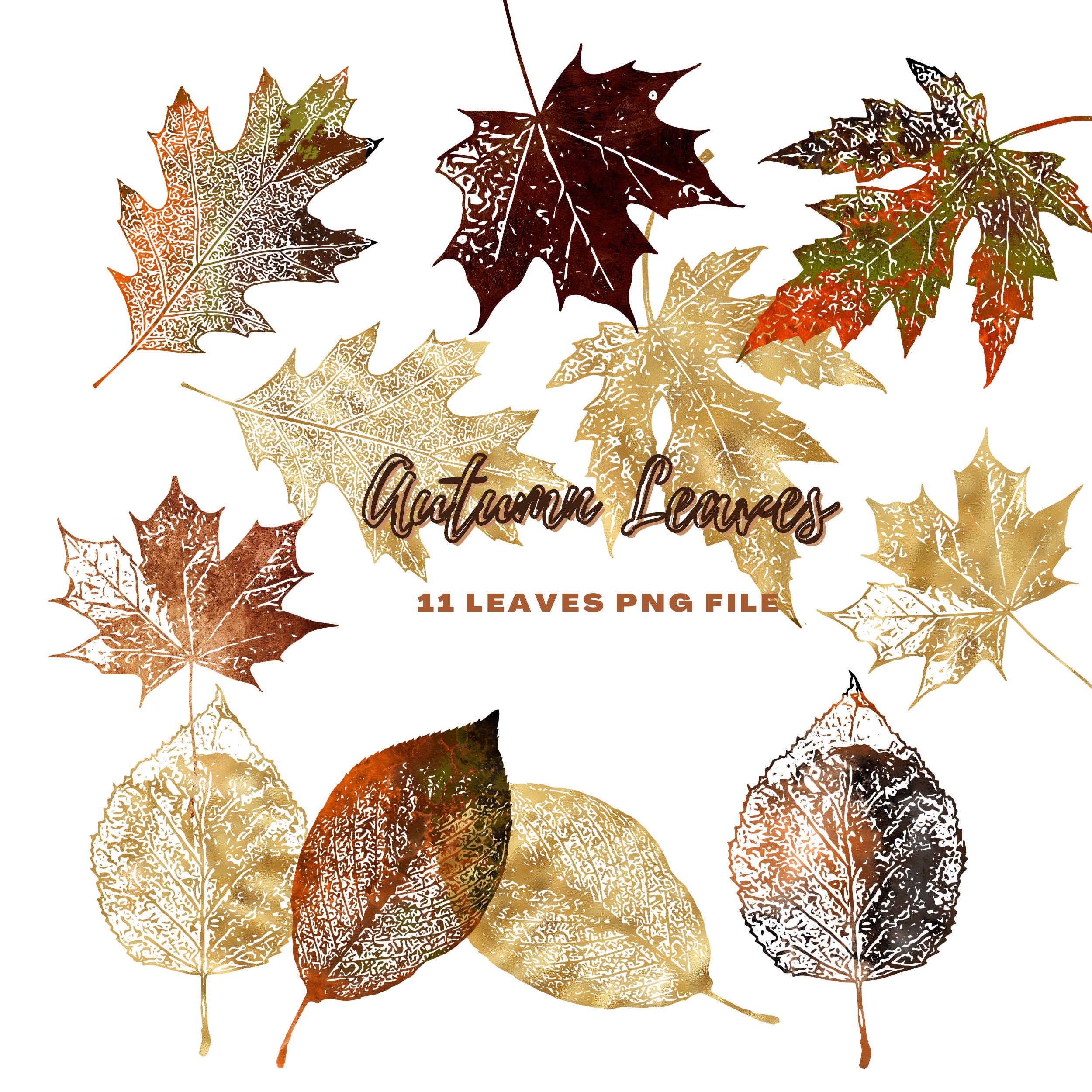 Fall Colorful Leaves Clipart, Autumn Botanical Illustraiton ...