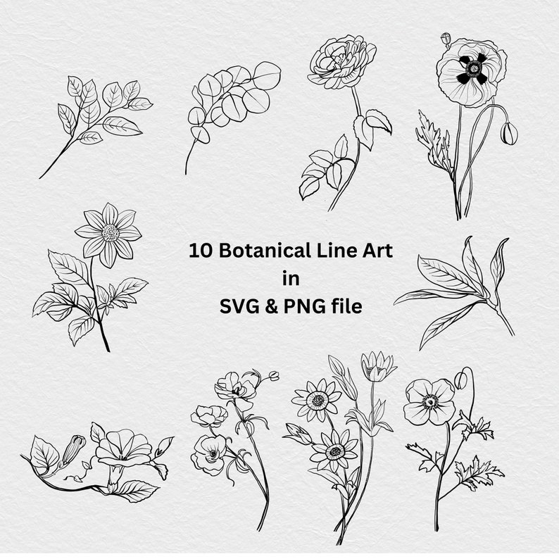 Flor silvestre SVG Paquete Botánico Svg Minimalista SVG Flor - Etsy México