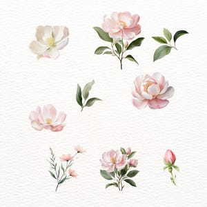 Blush Pink Floral Clipart, Pink Rose Clipart, Blush Coral White Floral ...