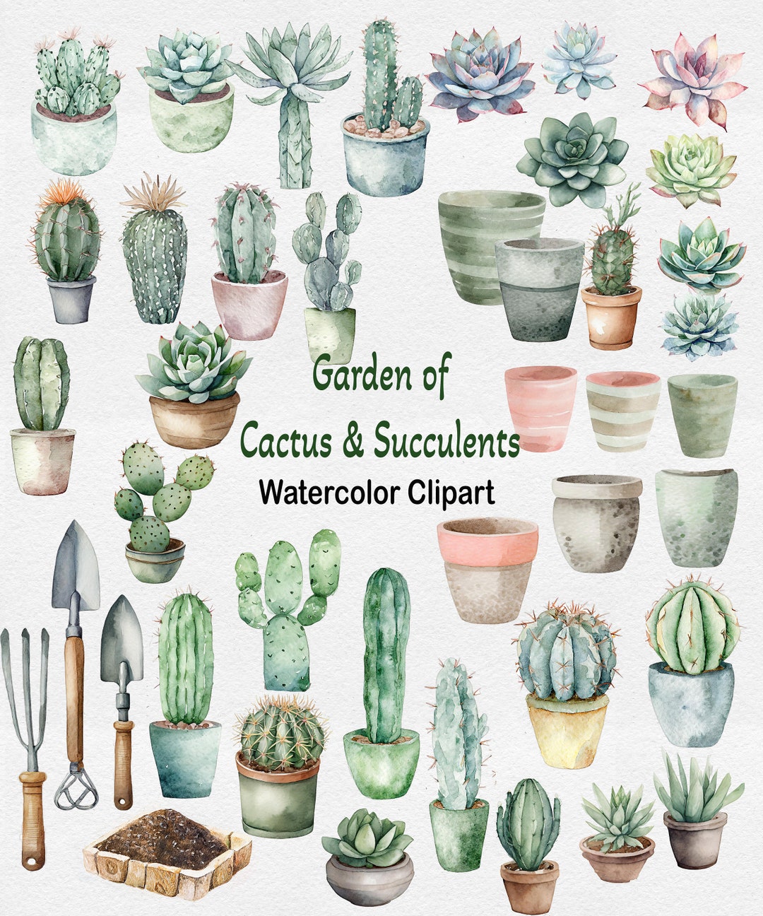Watercolor Cactus Succulent Clipart, Cactus Garden Clipart, Succulent ...