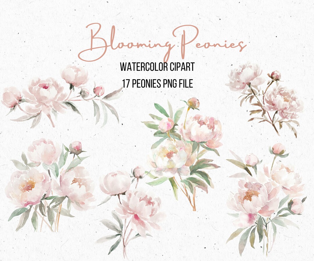 Blooming Peonies Clipart, Watercolor Floral Clipart, Baby Pink Floral ...