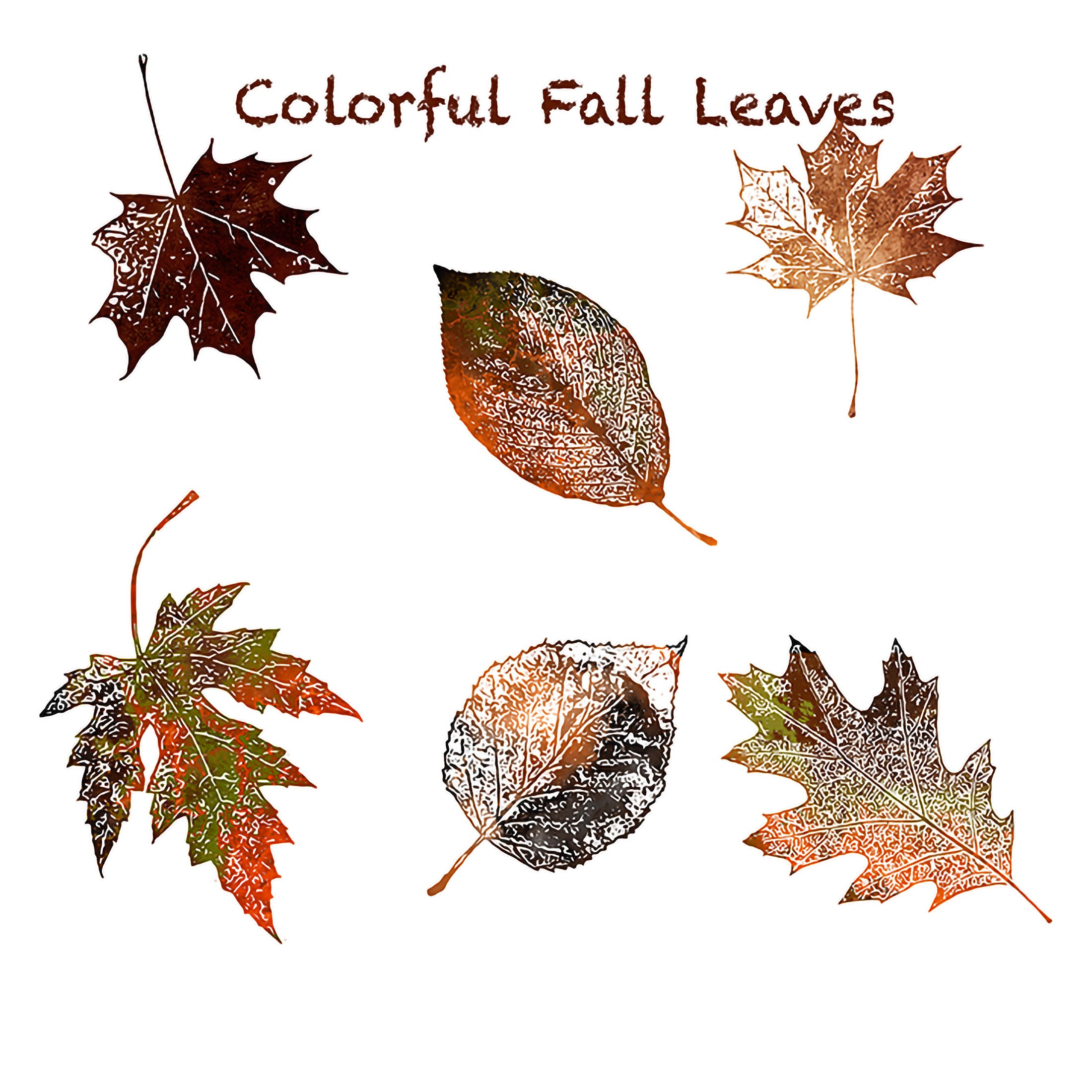 Fall Colorful Leaves Clipart, Autumn Botanical Illustraiton ...