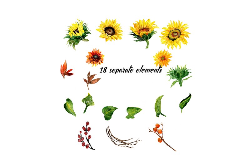 Sunflower Watercolor Clipart, Fall Flower Bouquets, Autumn Floral ...
